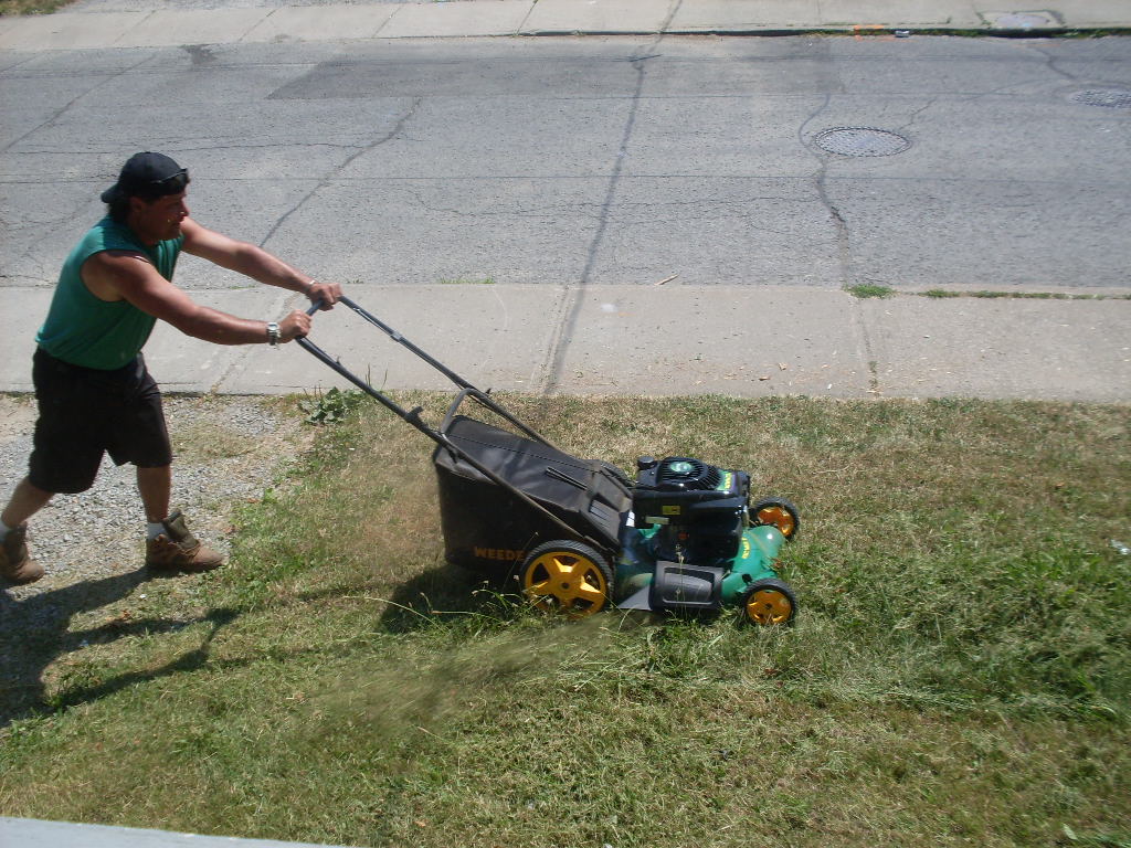 Green Cut Guy: green cut guy weed eater lawn mower strong excellent ...
