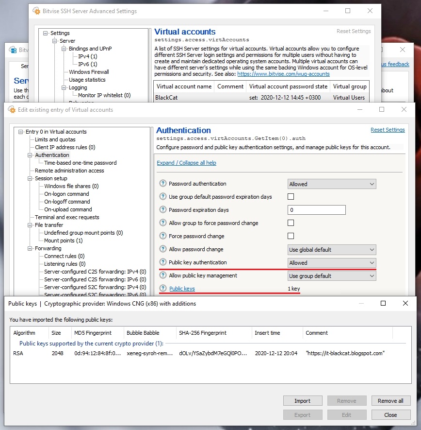 Clever Internet Suite. Аутентификация на SFTP-сервере с помощью SSH-ключа