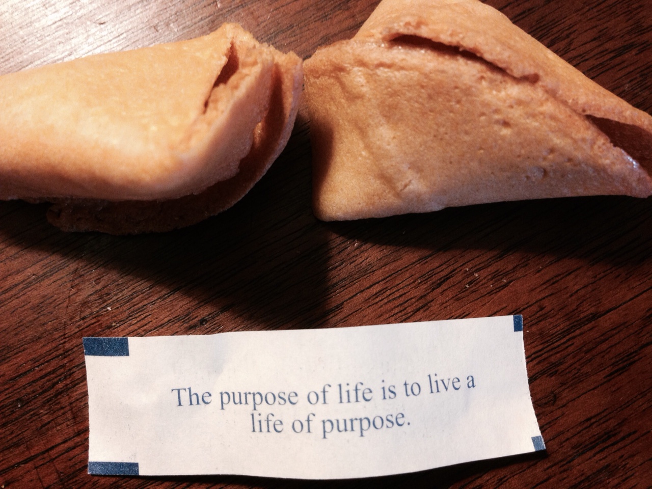 A Layman's Blog: Ah, Grasshopper............................