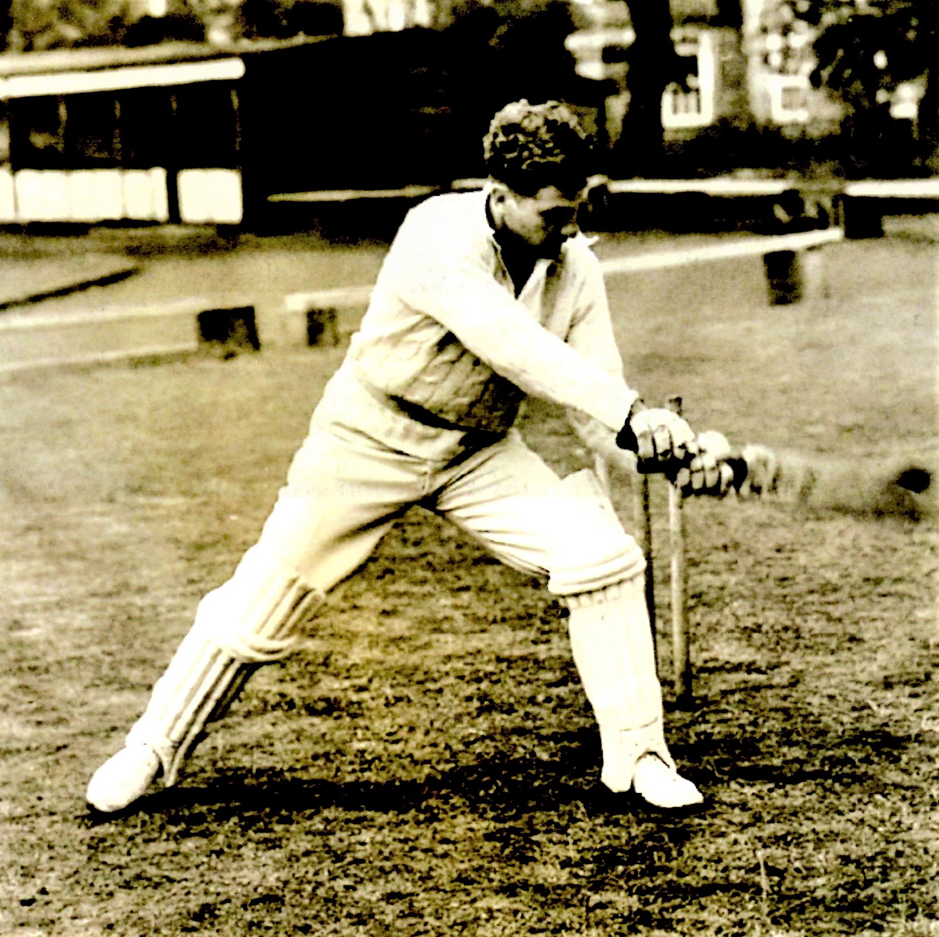 CRICKET FROM THE NORTH: Cambridge University 1950 - with five England ...