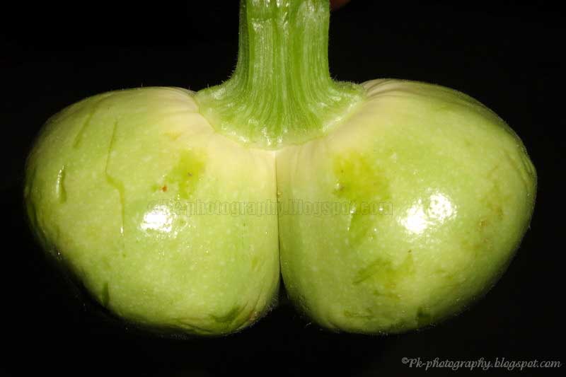 Funny Vegetable Images