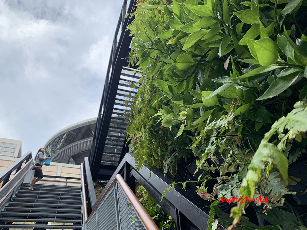 manta blog: Revamped Funan lifestyle mall