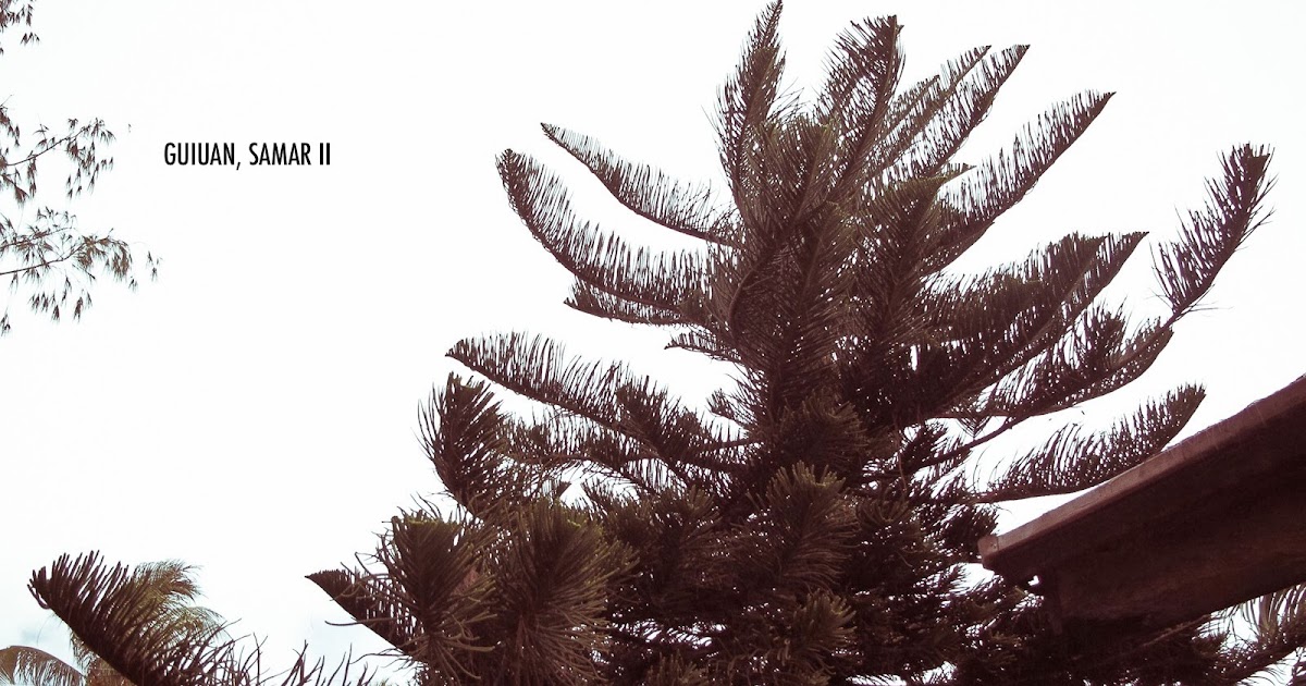 Guiuan, Eastern Samar II | A Photographic Diary