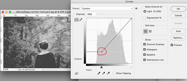 The CoffeeShop Blog: CoffeeShop "Lovely B&W" Photoshop/PSE Action!