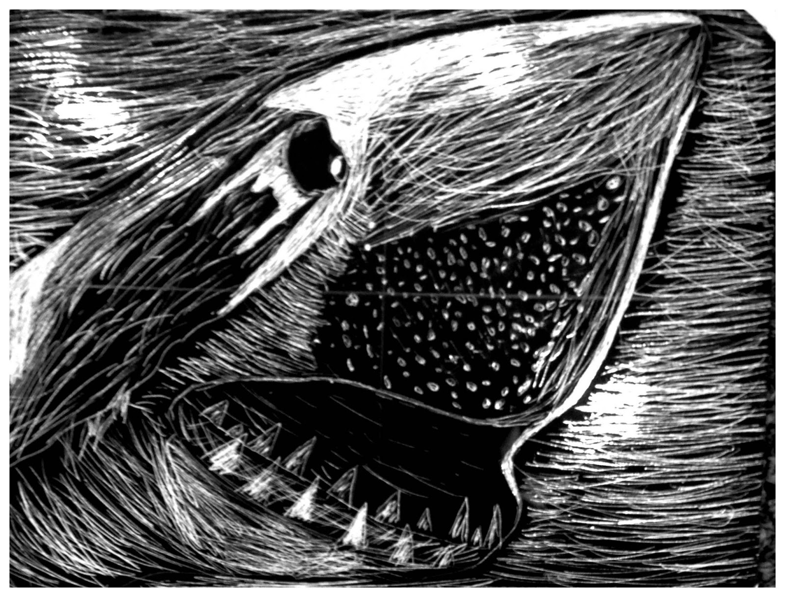 Open Window School Art: 5th Grade Animal Etchings