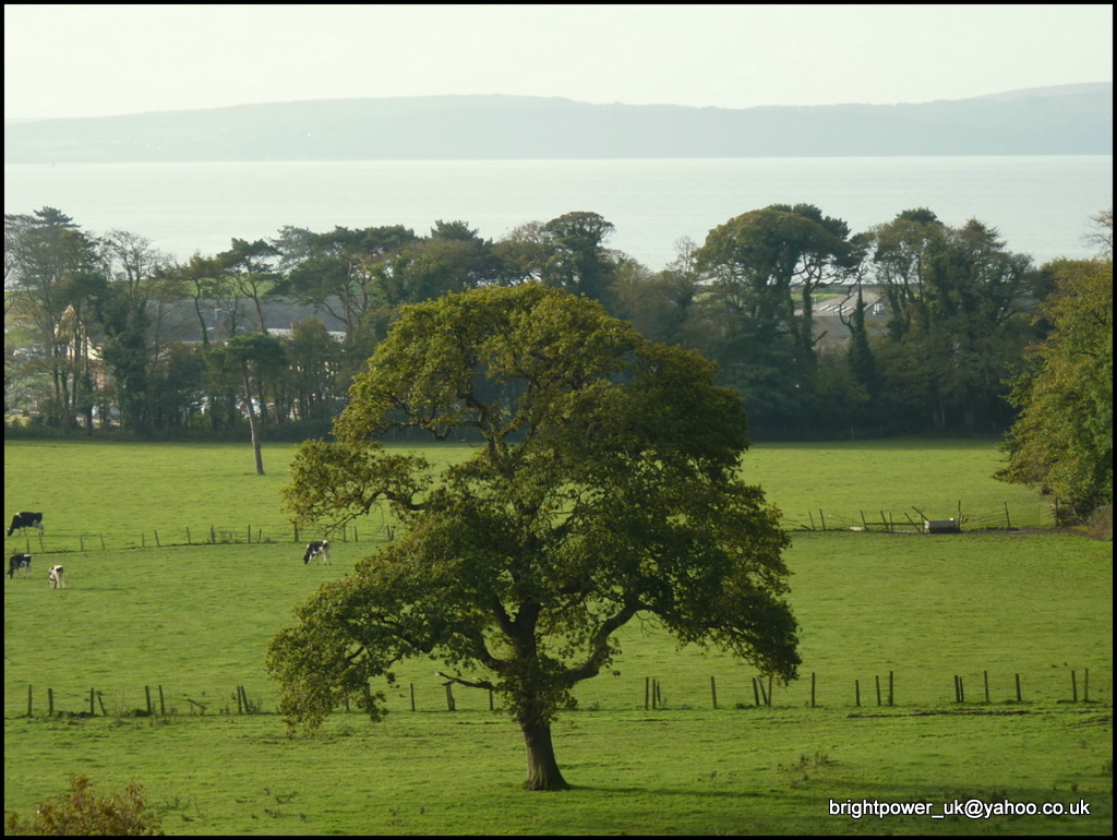 Stradey Castle