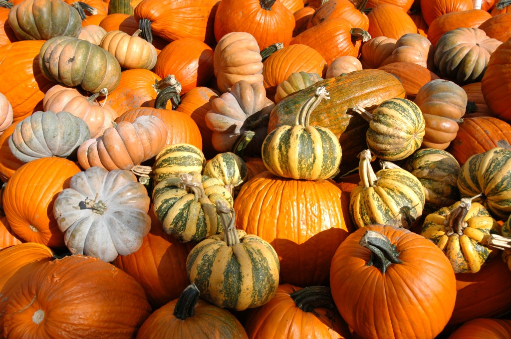 Bloody Pit of Rod: October Pumpkins