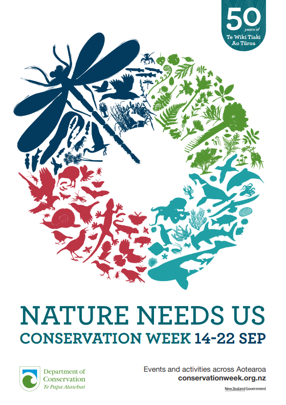 Tramping in the New Zealand backcountry: NZ Bush Adventures ...