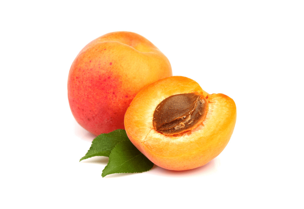 El Jardín del Lúpulo. Web especializada en cerveza.: Carta de aromas ...