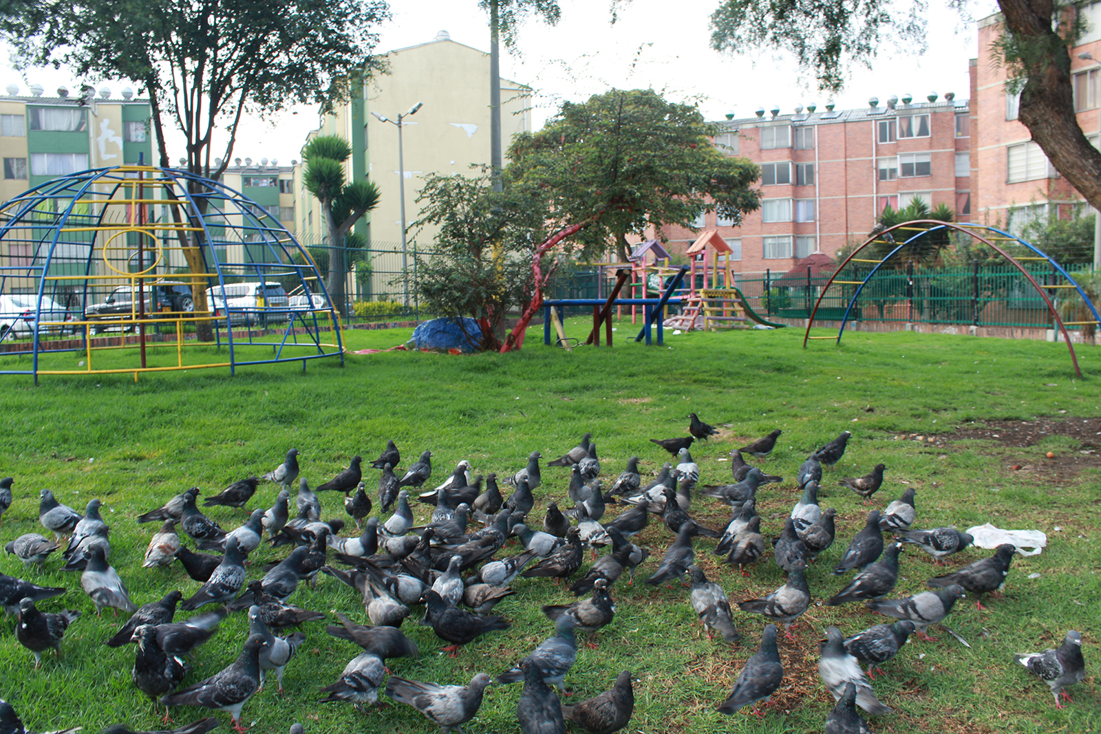 Online Photo Report Unitec: Niños en Peligro por el Deterioro en los ...