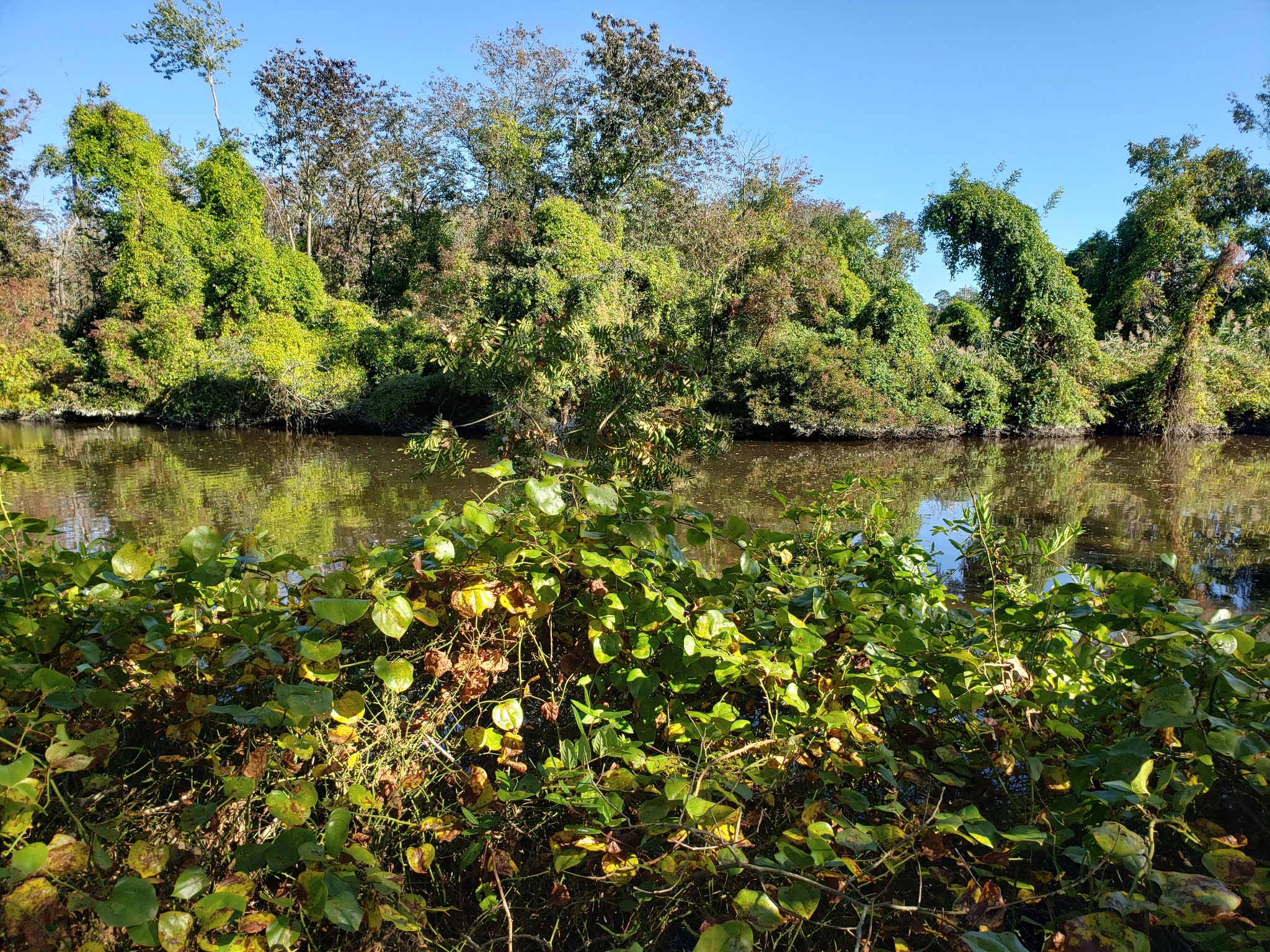 Getting to Know Milford Through the Mispillion Riverwalk