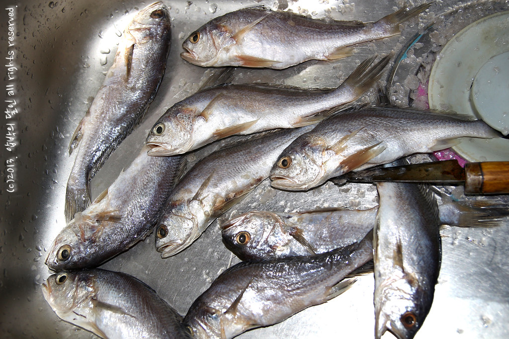 [Food] Gulbi (굴비, Dried Yellow Corvina) ~ peacebreeze