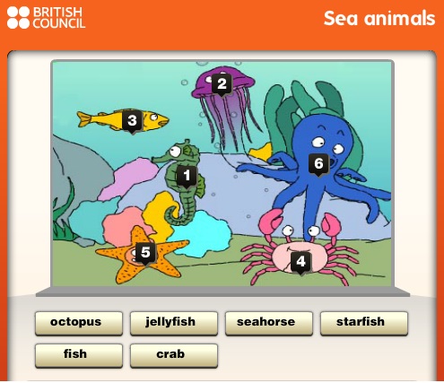 First Steps in English: SEA ANIMALS