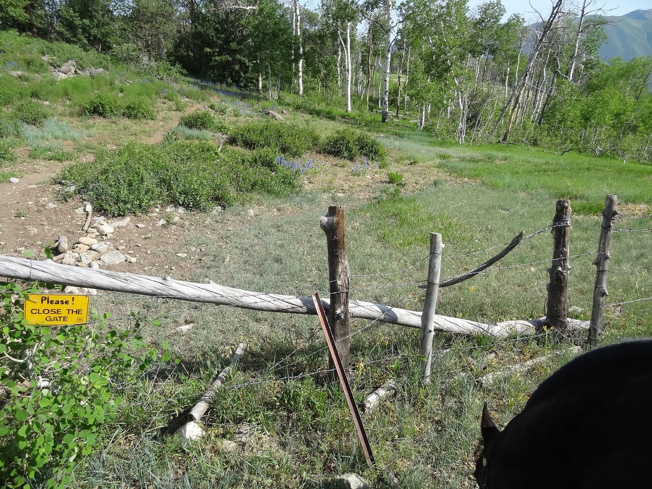 Dream Packer Trail Adventures: Nebo Loop~~Done Ridge