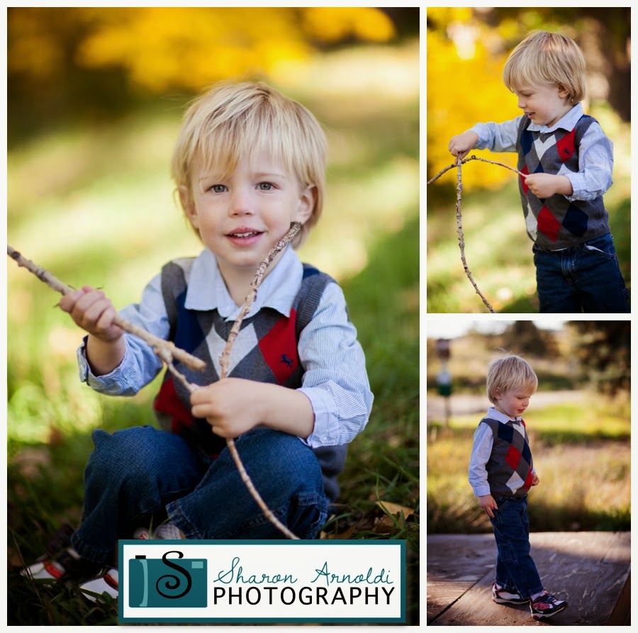 OLD BLOG, NEW BLOG HERE: http://www.sharonarnoldi.com/blog : Highlands ...