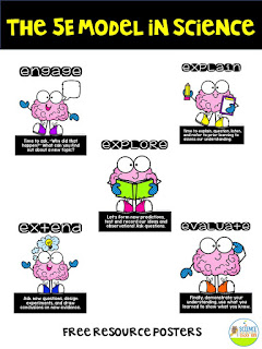 The 5 E Model In Your Science Classroom - The Science School Yard