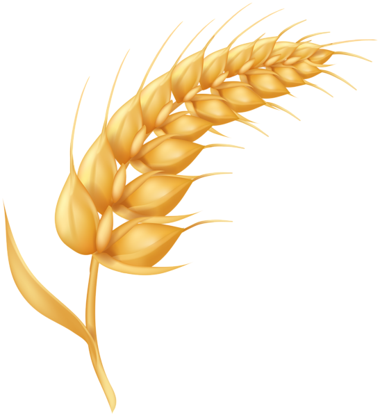 ® Colección de Gifs ®: IMÁGENES DE TRIGO