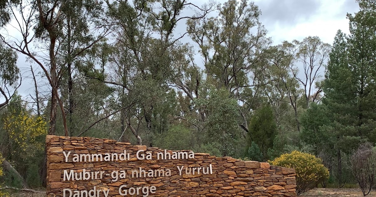 jannimary: Exploring the Pilliga - Part 1 - Dandry Gorge