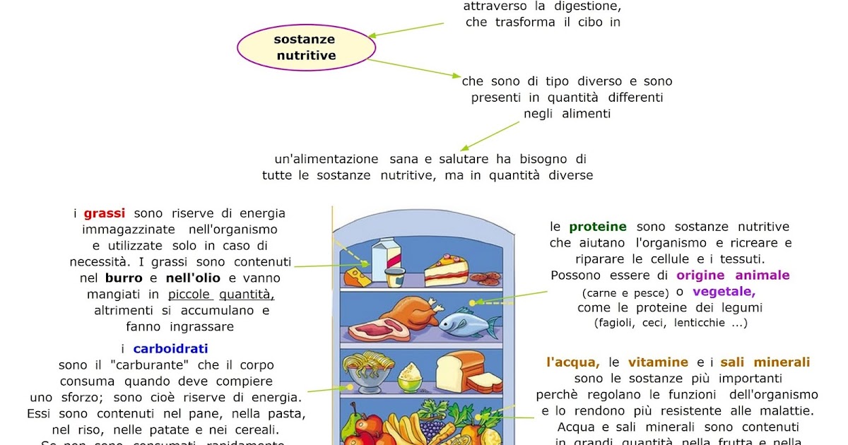 Paradiso delle mappe: Il cibo e i nutrienti