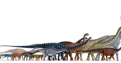 a mesozoic field guide: The Sauropods