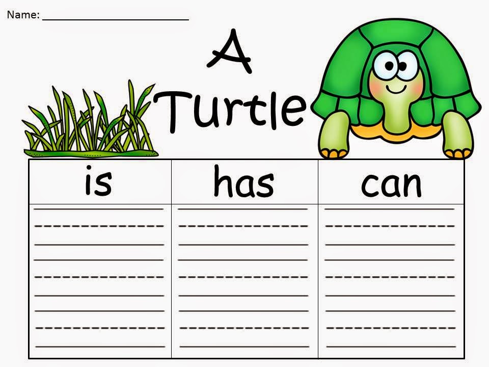 Fairy Tales And Fiction By 2: Have A Turtle-rific Summer Everyone!