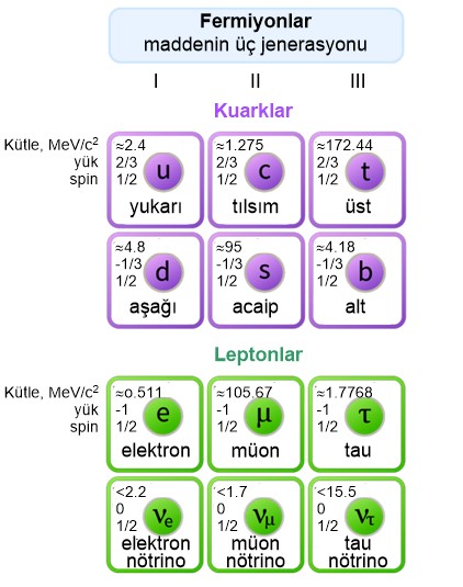 Prof. Dr. Bilsen Beşergil: Fermiyonlar (fermions)