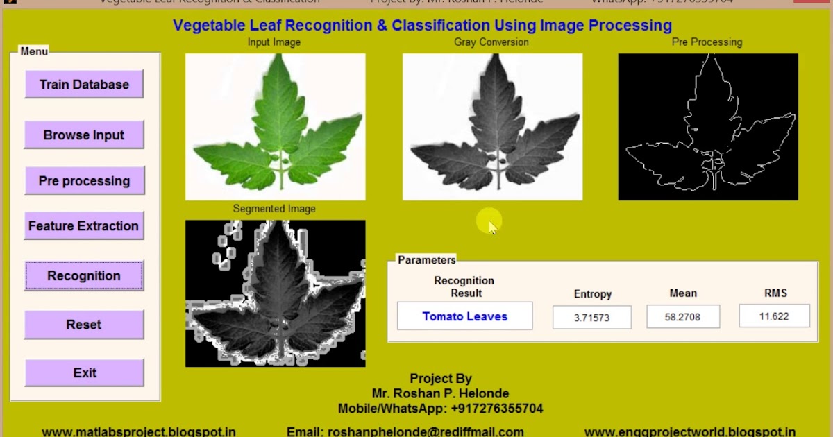 Vegetable Leaf Recognition using Image Processing Matlab Source Code ~ ENGINEERING PROJECTS