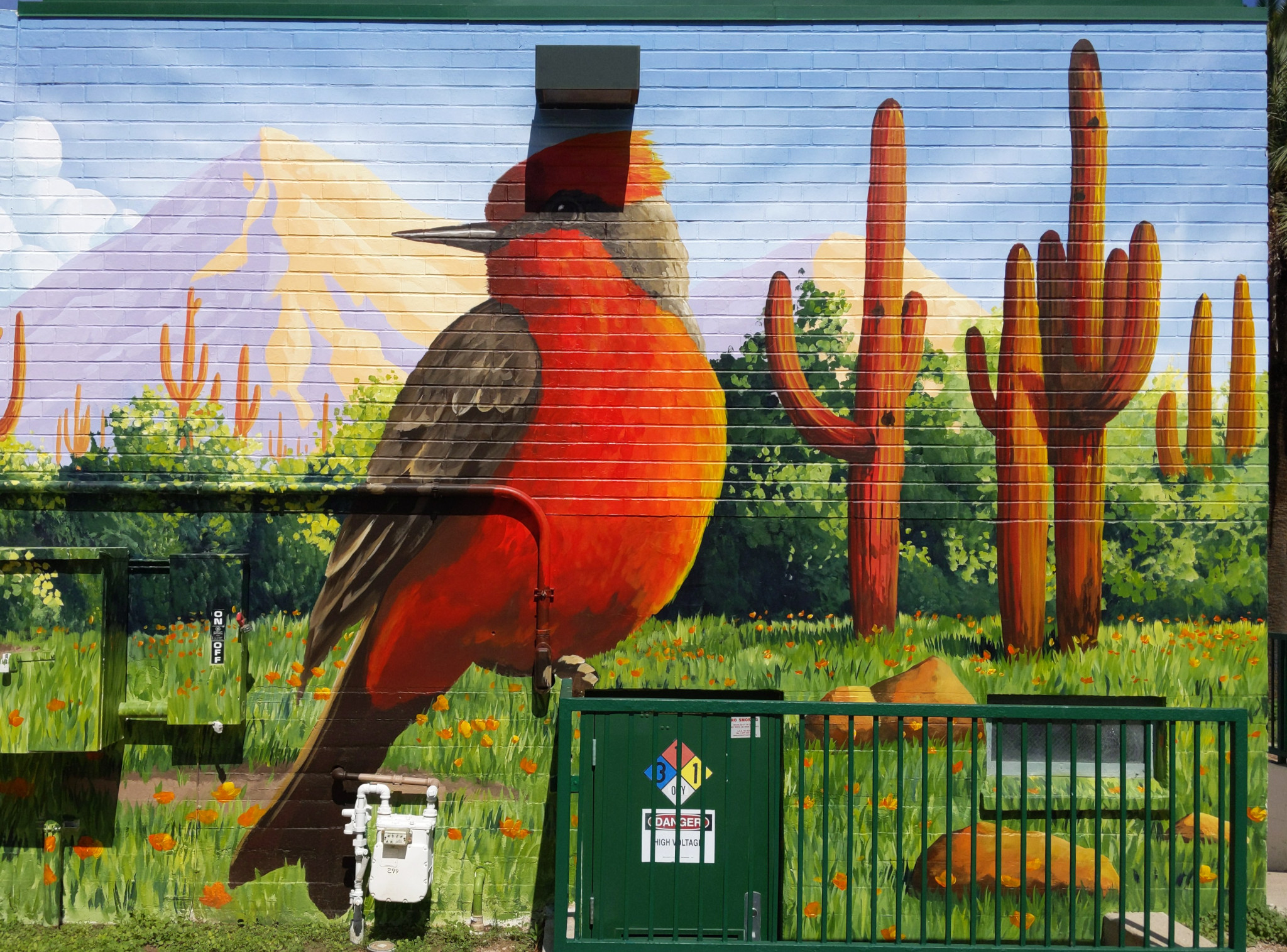 The Tucson Murals Project: Joe Pagac paints his old neighborhood ...