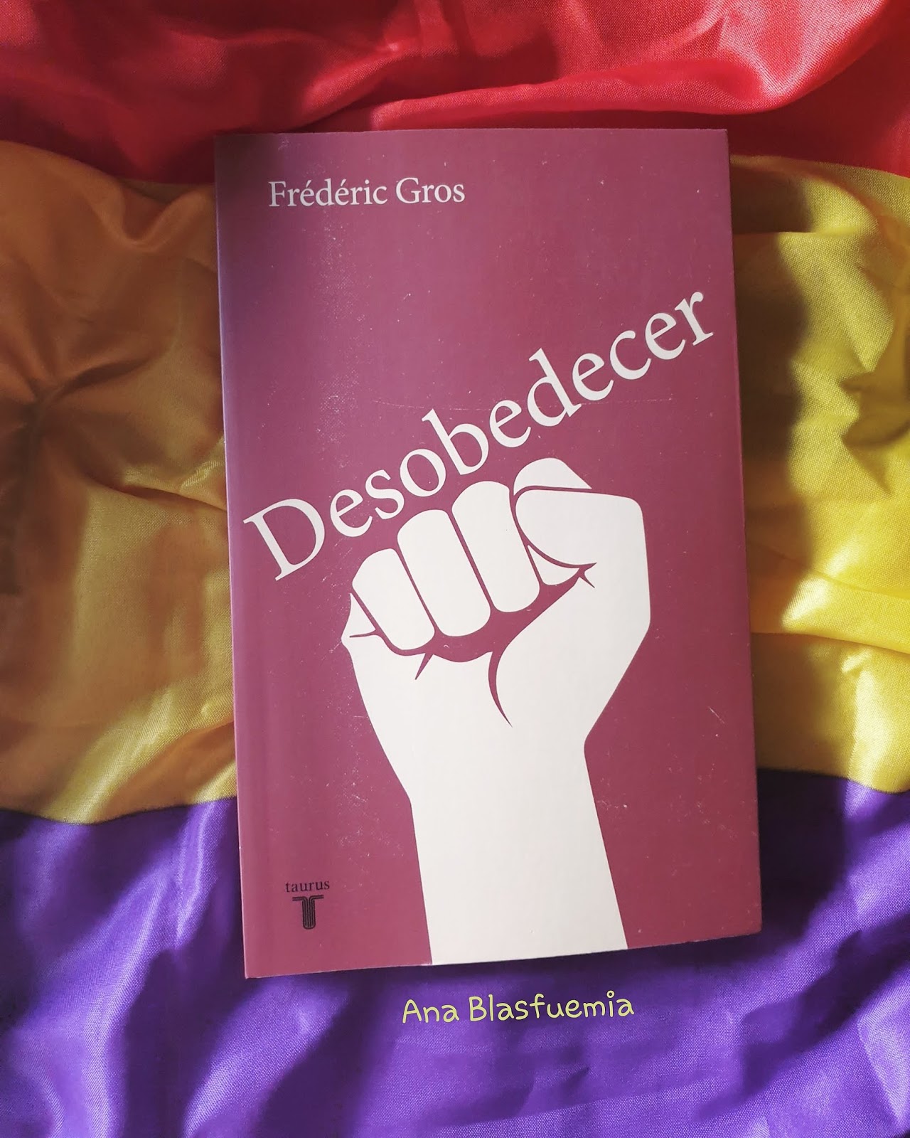Lo que leo lo cuento: Desobedecer (Frédéric Gros)