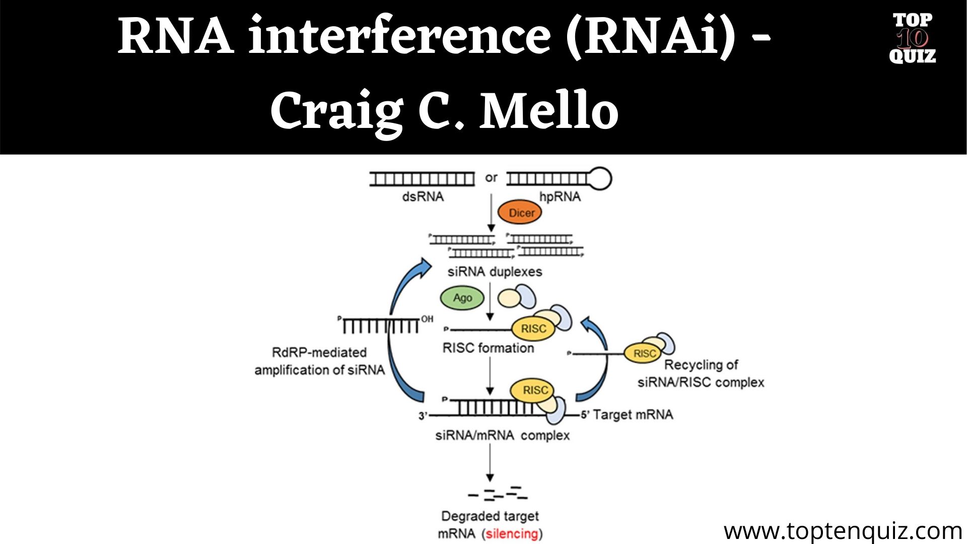 101 Biological Science Inventions and Discoveries (Part 1)