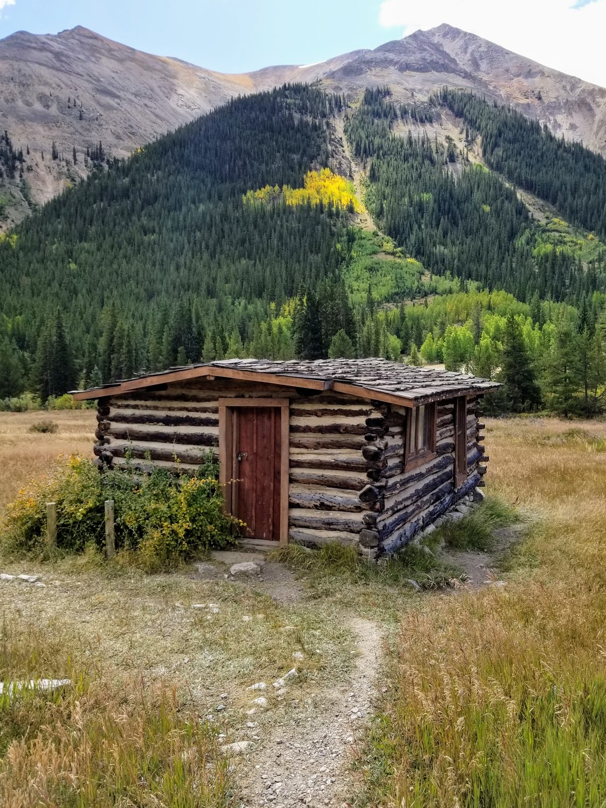 Mille Fiori Favoriti: Ghost Towns of Vicksburg and Winfield, Colorado