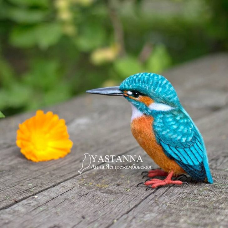 Super Realistic toys that look just like real animals!