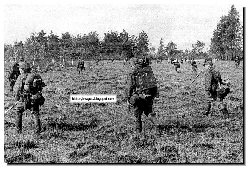 HISTORY IN IMAGES: Pictures Of War, History , WW2: Waffen SS: WW2 Elite ...