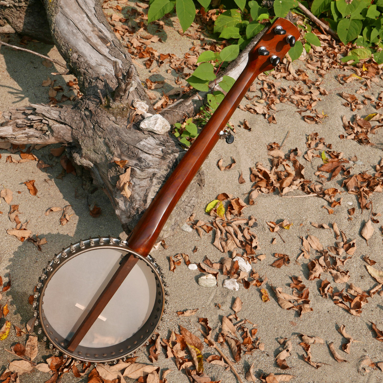 1880s Buckbee 5-String Fretless Banjo