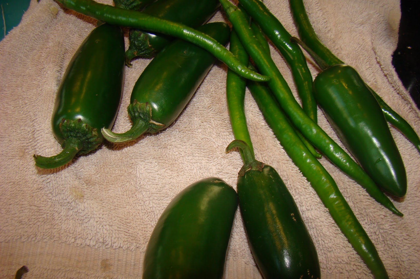 My Favorite Recipes Collection: Fresh Turmeric and Chili Peppers Relish ...