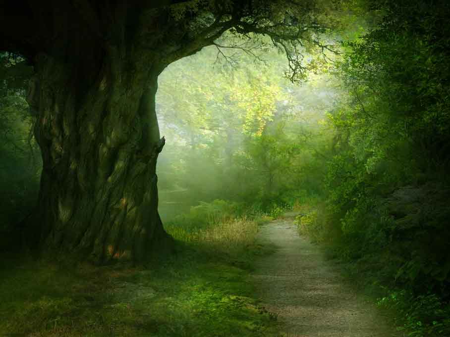 Como ver un hada en 10 pasos ~ Joyas Hechicera