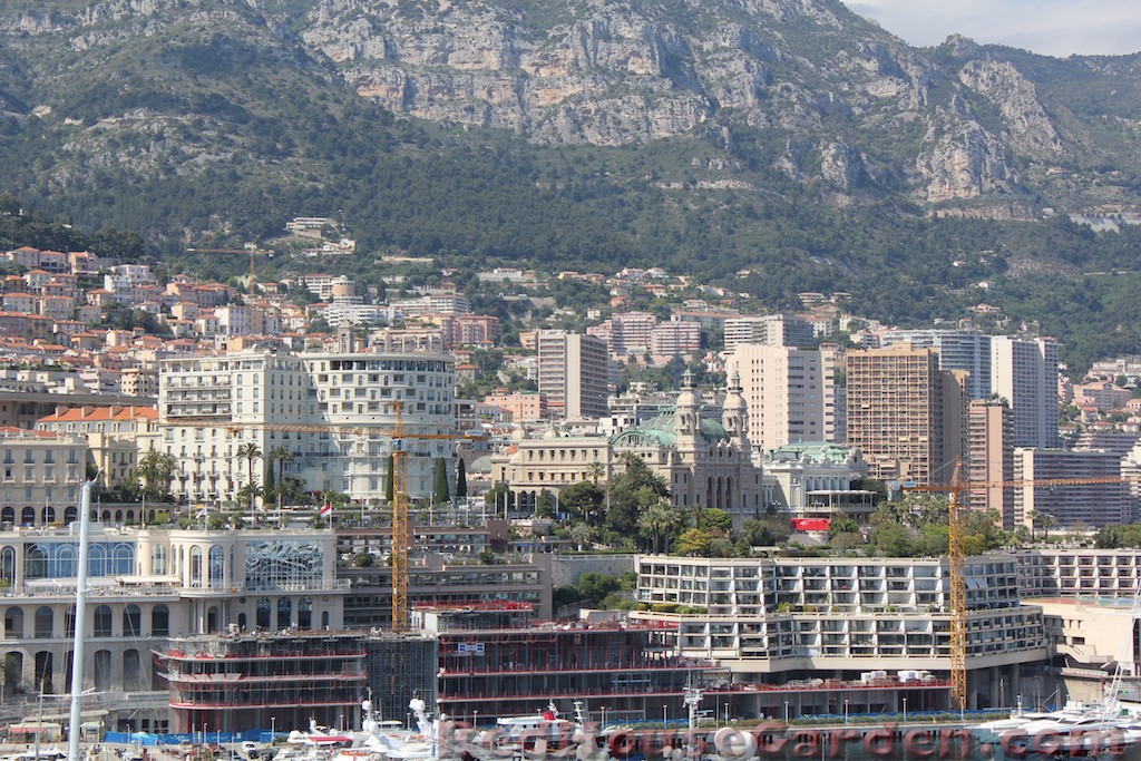 Red House Garden: Monaco - the Non-Gardening Edition