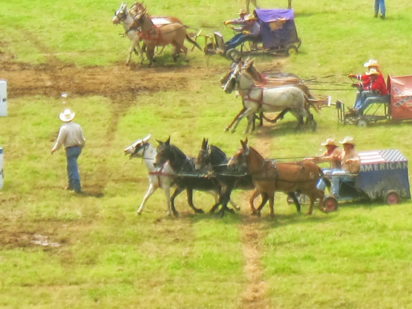 Expeditions by Tricia: NATIONAL CHAMPIONSHIP CHUCKWAGON RACES!