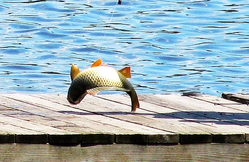 KTemoc Konsiders ........: The plot against Mahathir?