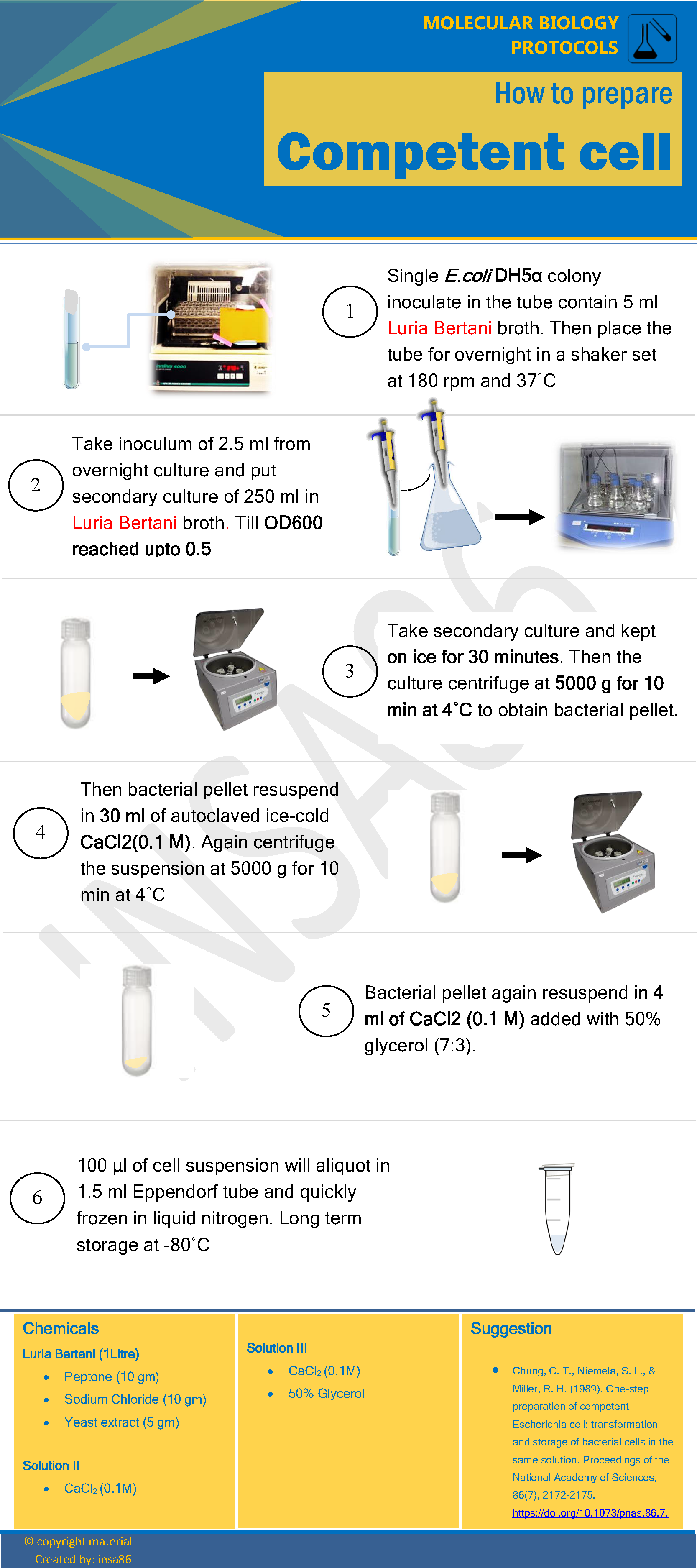 Preparing competent cells using calcium chloride method