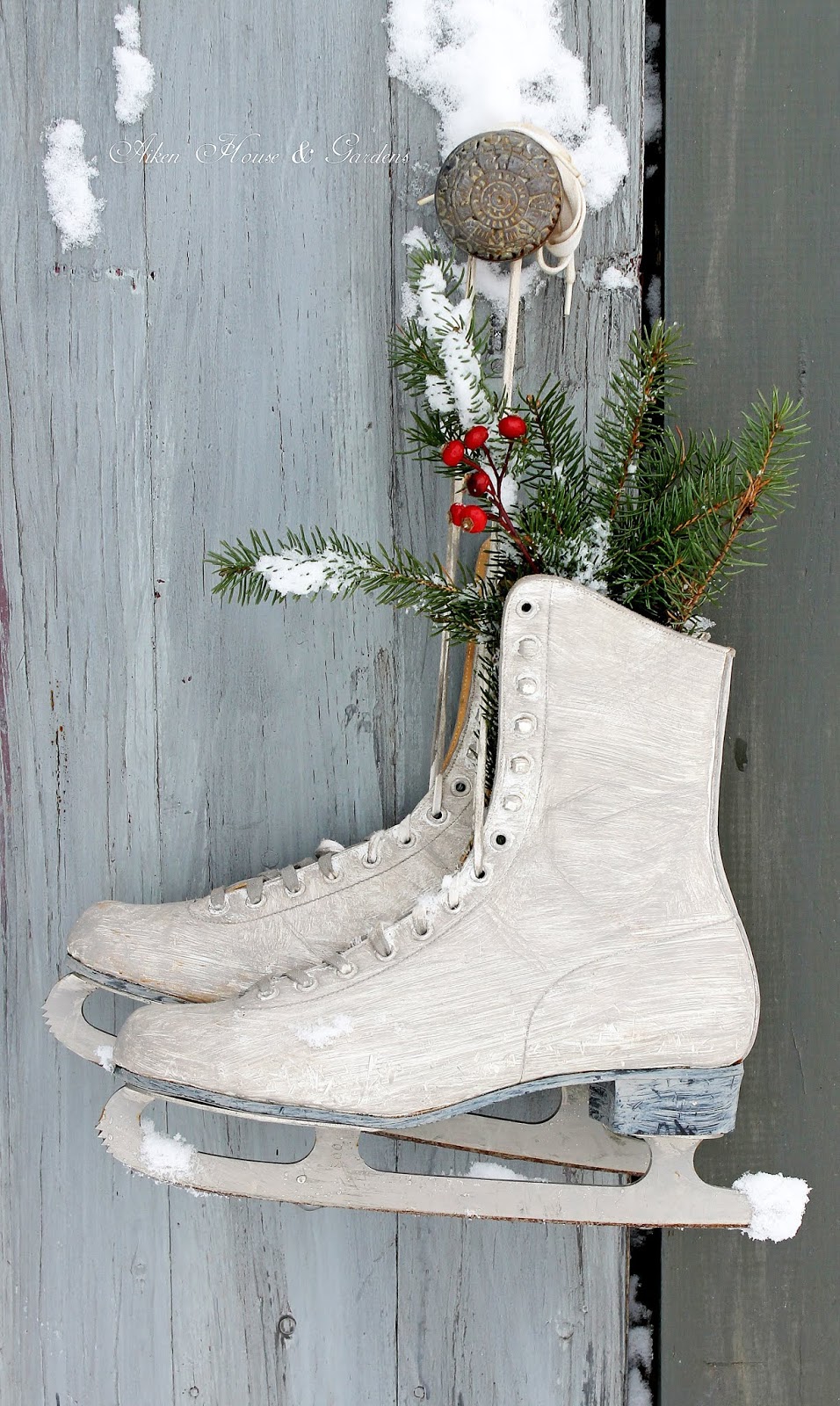 Aiken House & Gardens: Winter Skates & Happy New Year
