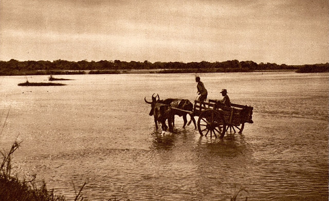 Trechos do rio Incomati em 1929