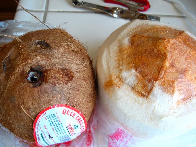 Let's Rock Like da Vinci - Cook Away!: How to make Home Made Coconuts ...