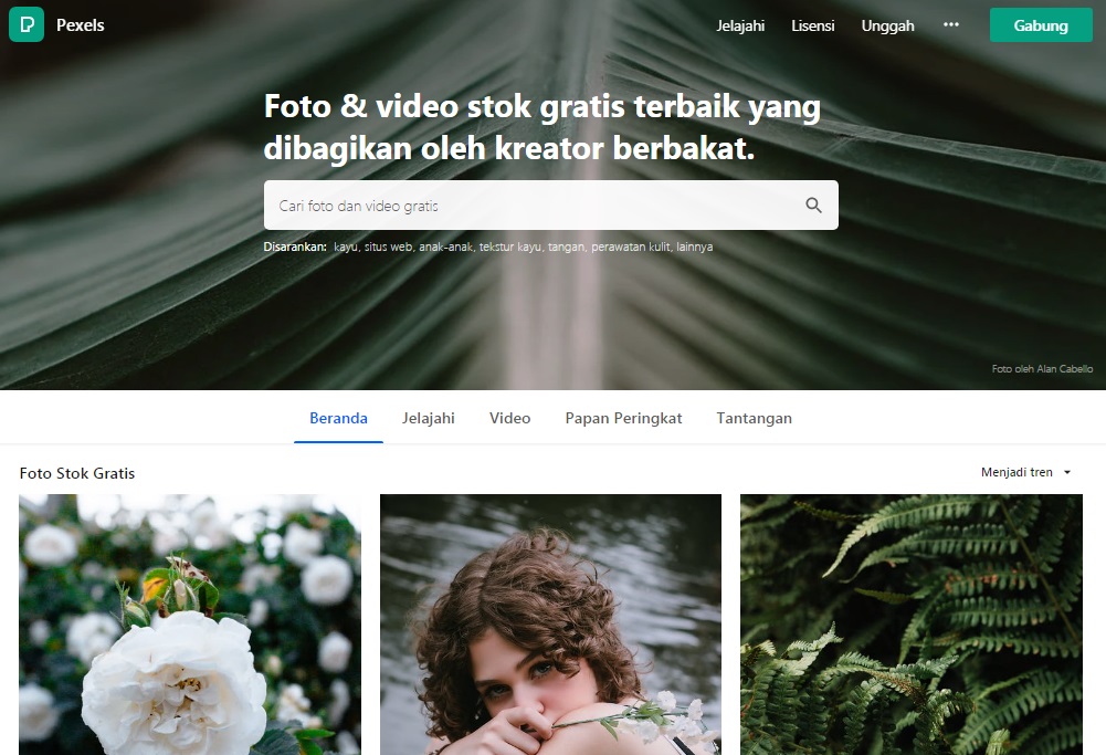 43 Referensi Situs Penyedia Gambar Gratis - Campusnesia.co.id