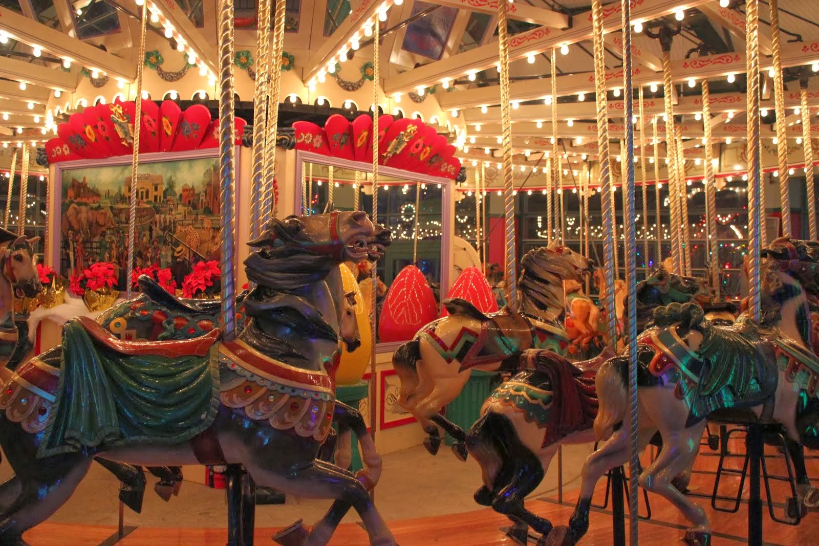 Here and There: A Visit to a Nationally Ranked Zoo