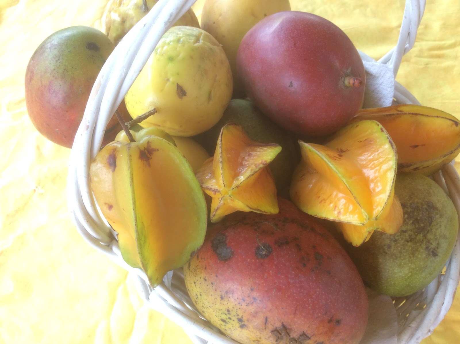 PECHEUR 972: Fruits exotiques de Martinique