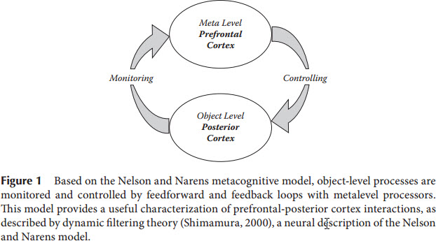 Research Kinda thing in Ratology (Formerly Disability etc in Ratology ...