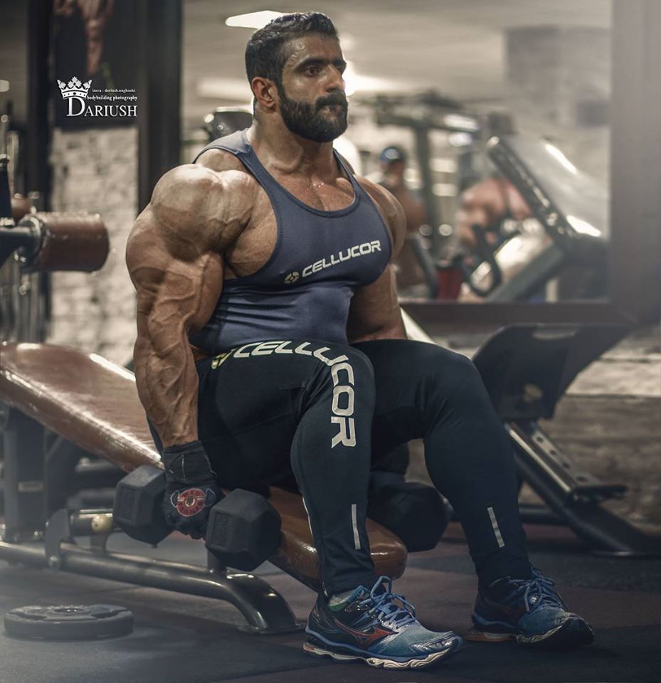 Beast of the Year - Number 1: Hadi Choopan, the Persian Wolf | World ...