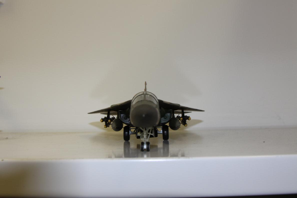 Michigan Exposures: The F-111 Aardvark