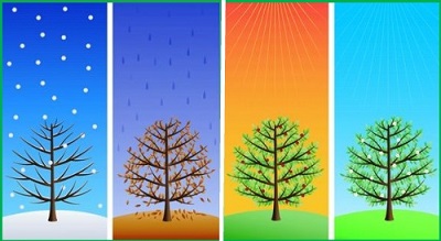 8.Sınıf Mevsimlerin Oluşumu Yeni Nesil Sorular - fenbilim.net